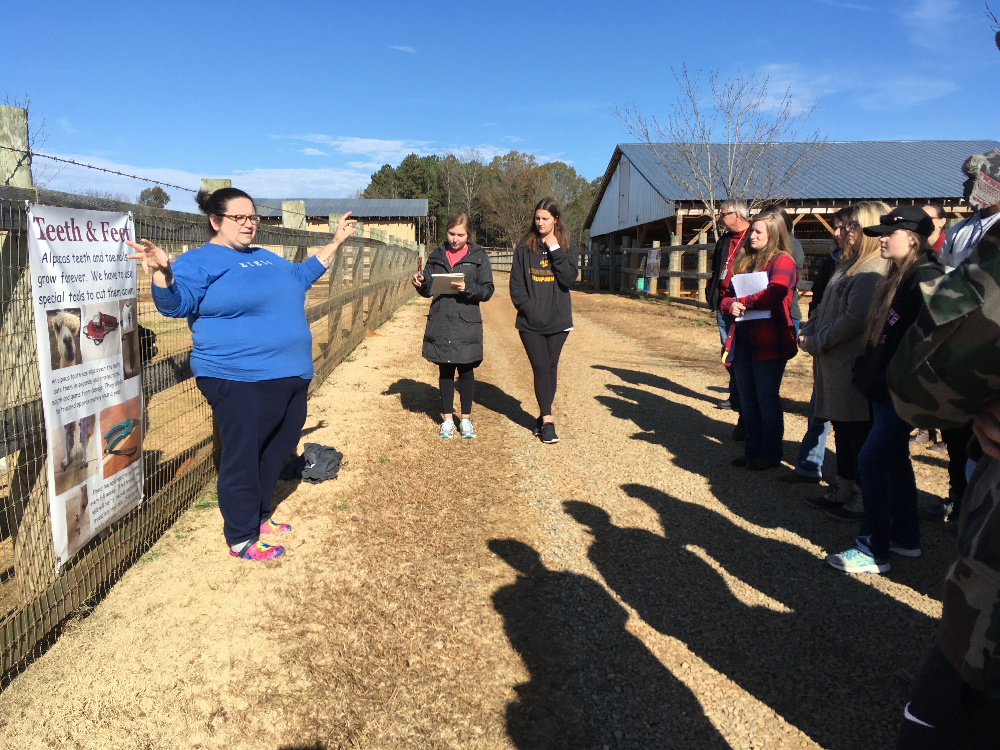 Alpaca 101 | Carolina Sunshine Alpaca Farm